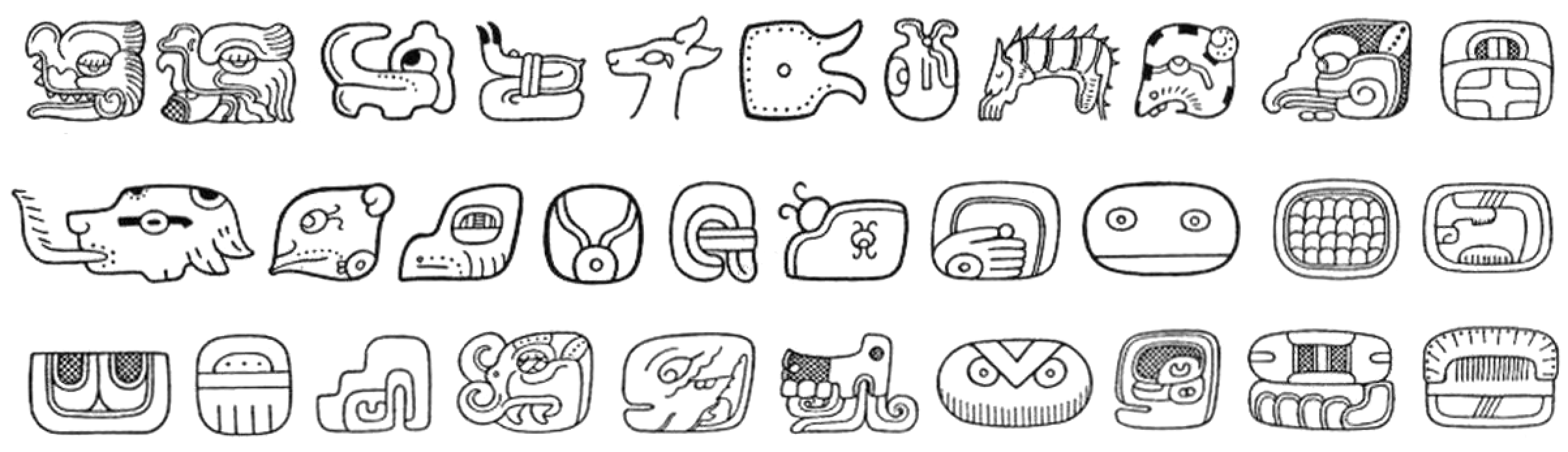 Create Your Own Script – Neography